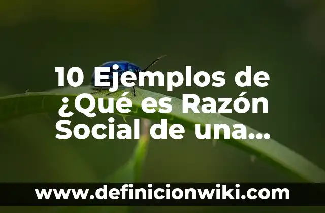 10 Ejemplos de ¿Qué es Razón Social de una empresa?: Definición, Que es ... 10 Ejemplos de ¿Qué es Razón Social de una empresa?: Definición, Que es ...
